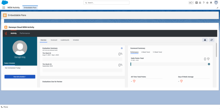 WEM activity view in CX Cloud from Genesys and Salesforce - Genesys ...